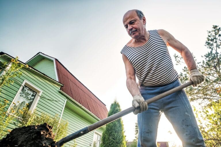 The Ultimate Guide to Root Cellars: How to Build and Maintain Your Own ...